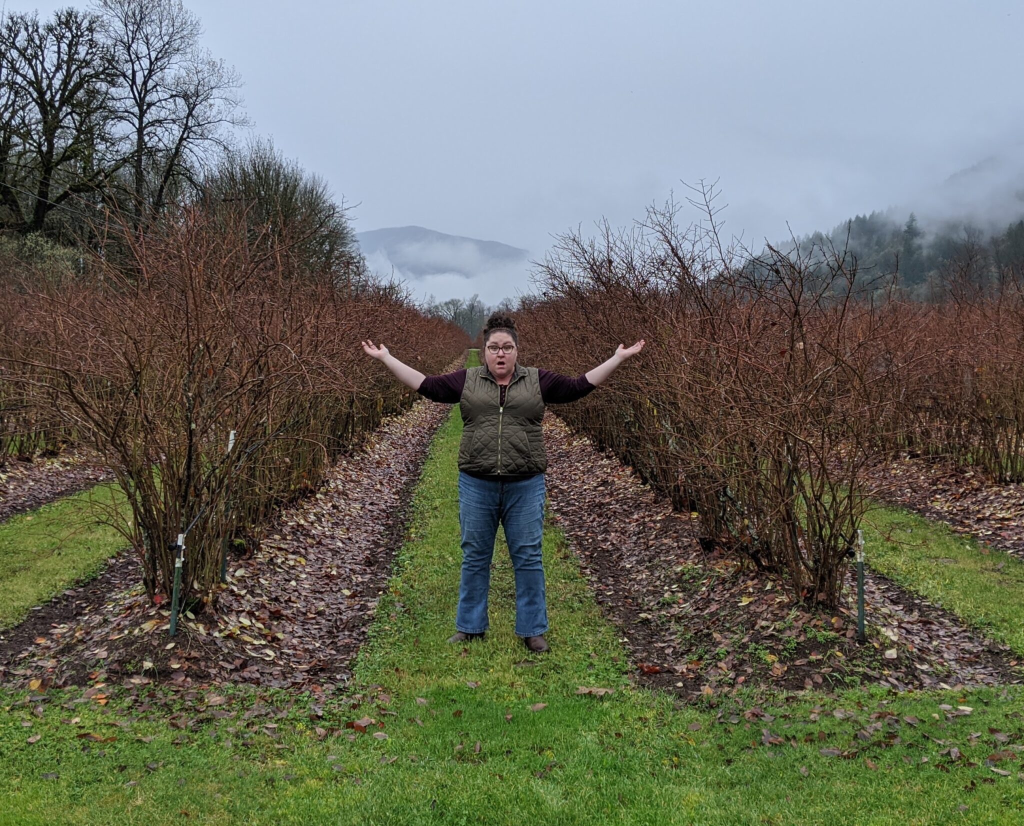 Plant ID Walk with Michelle Rau - Morning Session - SOLD OUT ...