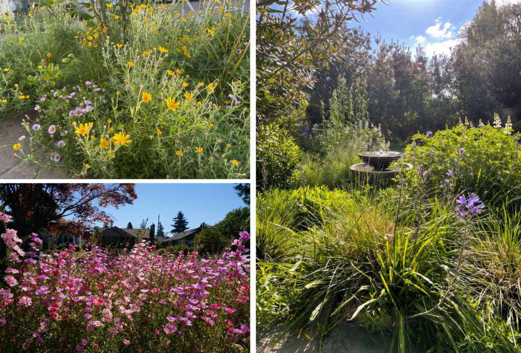 Learning To Be Home - 25 years of designing with PNW native plants ...