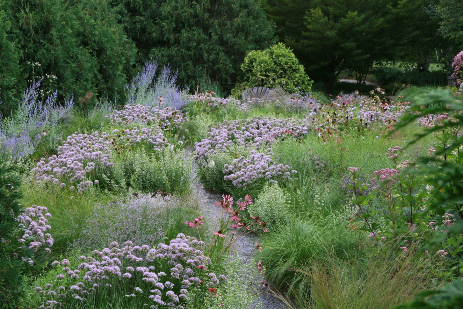 Gravel Gardens: Gardens for our Changing Climate with Jeff Epping ...