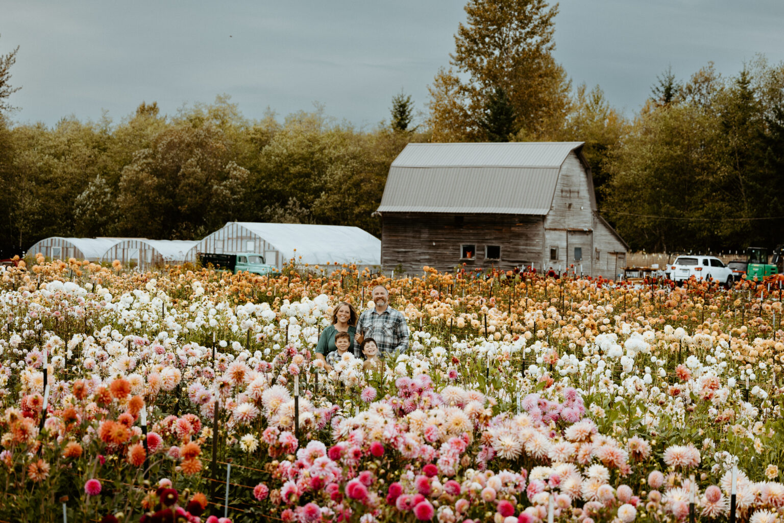 Tour of Farmhouse Flower Farm in Stanwood - Northwest Horticultural ...