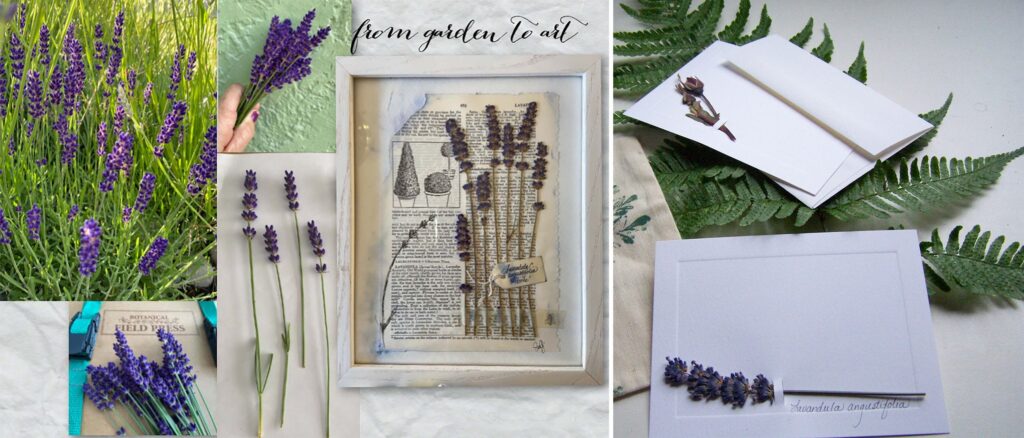 Pressed Flower Workshop at Lakewold Gardens with Sue Goetz (SOLD OUT ...